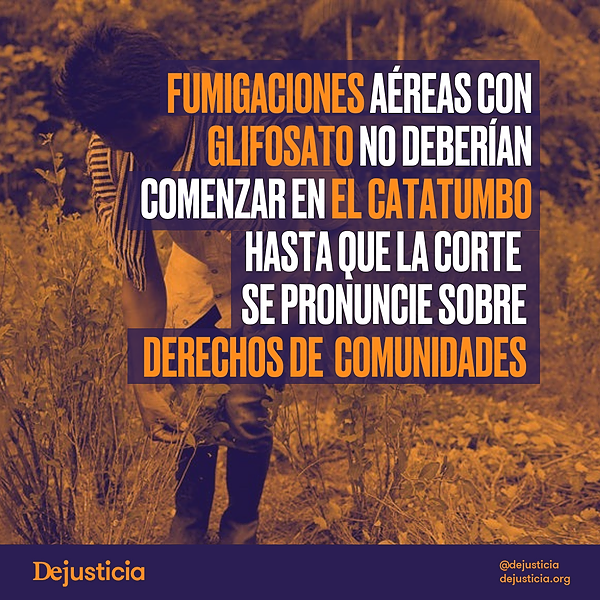 Dejusticia | Linktree